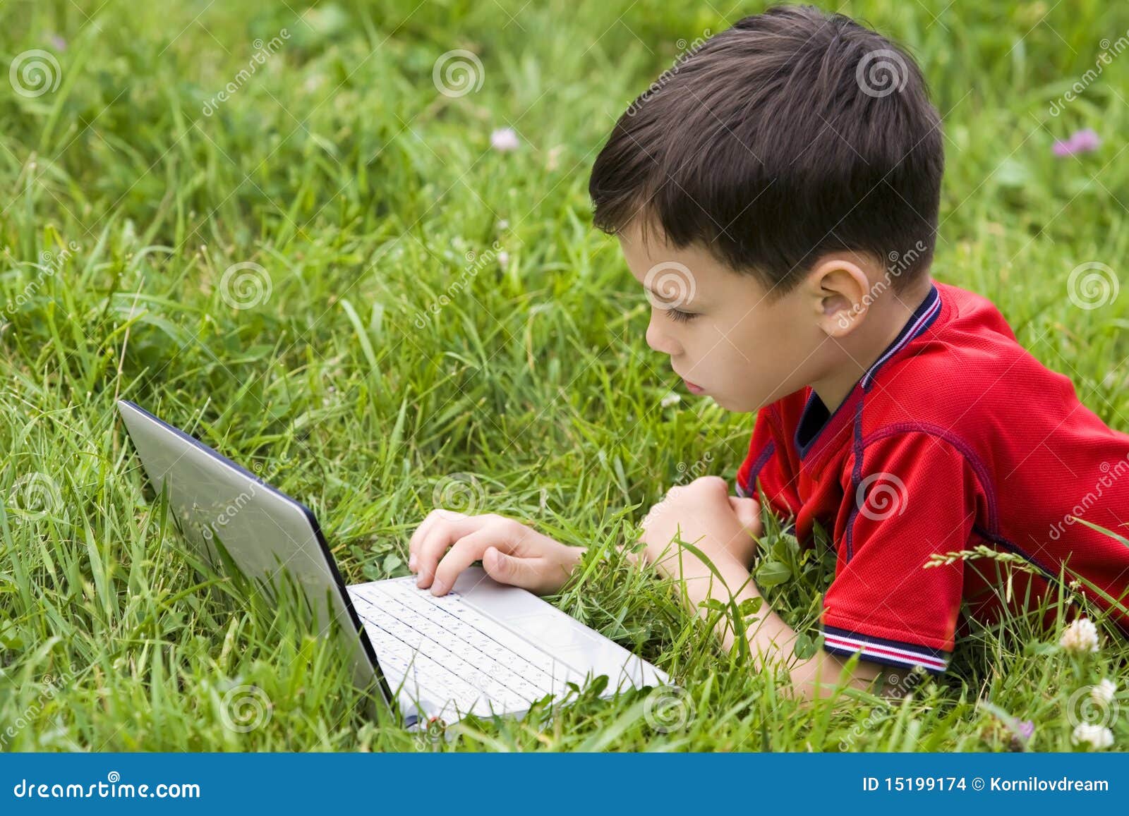 Boy using notebook stock photo. Image of green, caucasian - 15199174