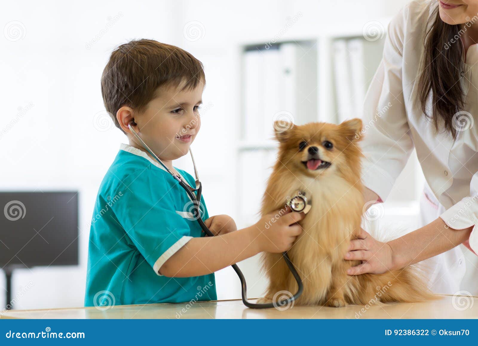 Boy at the Veterinary Doctor with His Dog Stock Photo - Image of doggy ...
