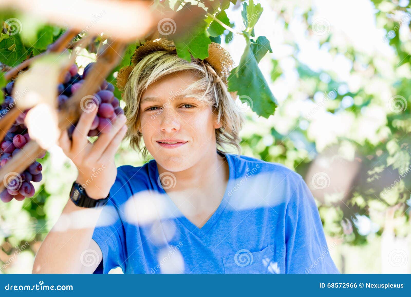 Boy in vineyard stock photo. Image of branch, green, fresh - 68572966