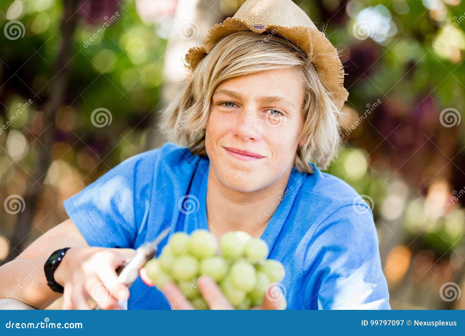 Boy in vineyard stock image. Image of grape, agriculture - 99797097