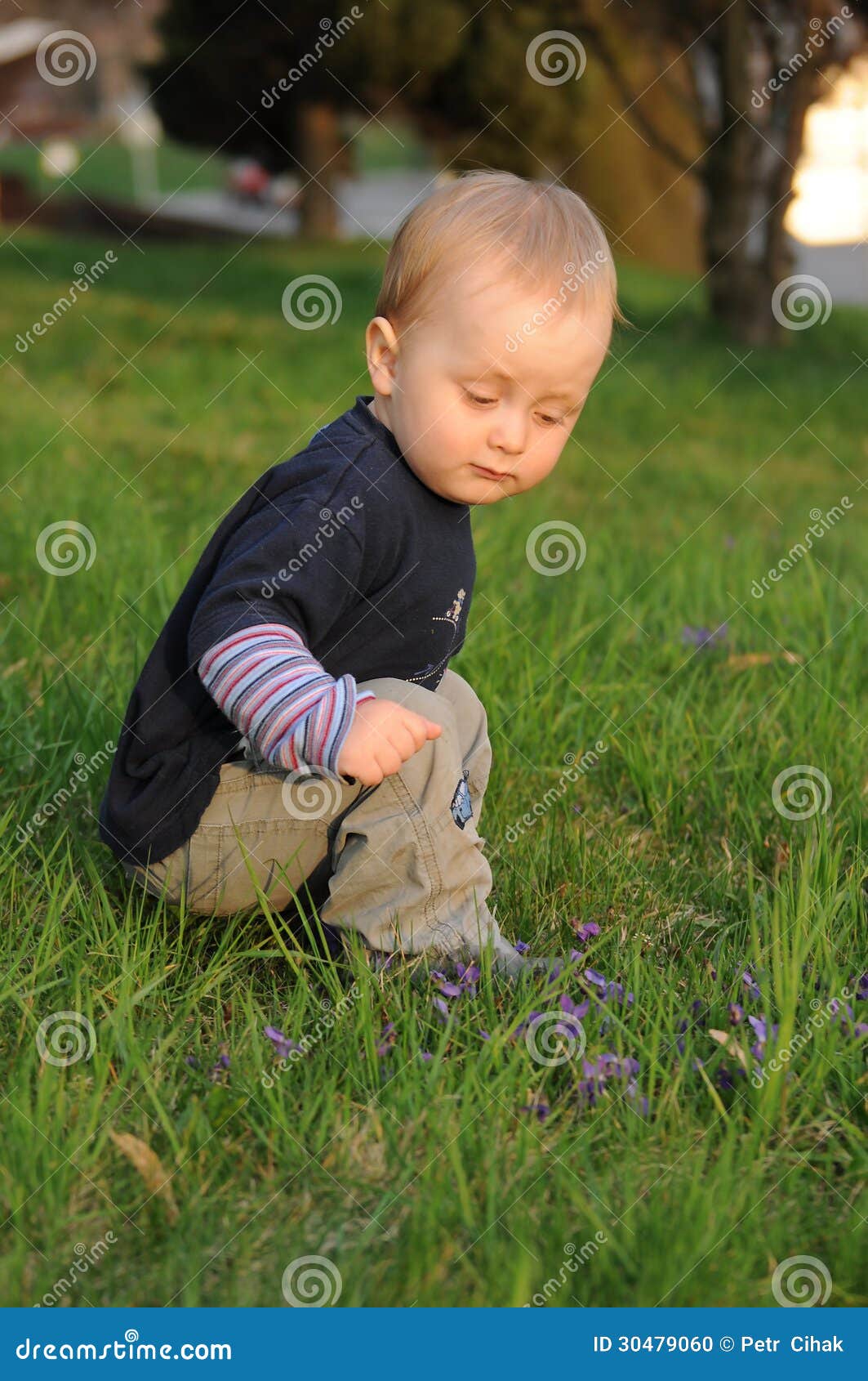 Boy with violets stock photo. Image of person, little - 30479060