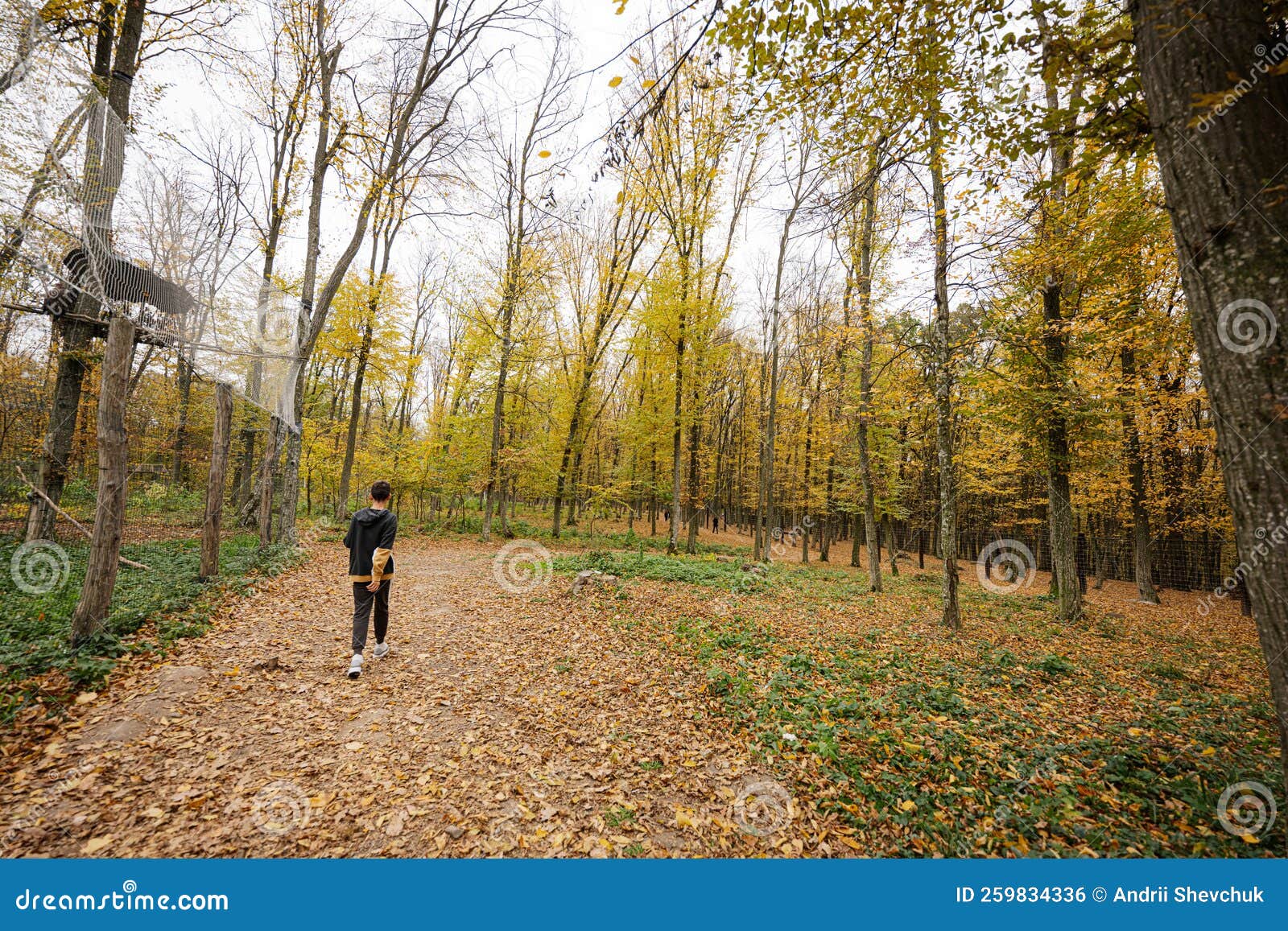 Boy on a Walk in Autumn Forest Stock Photo - Image of autumn, landscape ...