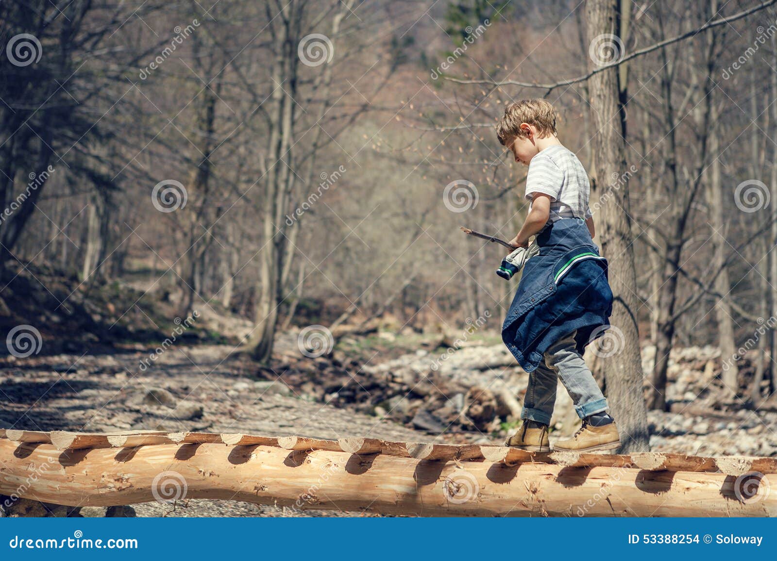 Boy walk in spring forest stock photo. Image of life - 53388254