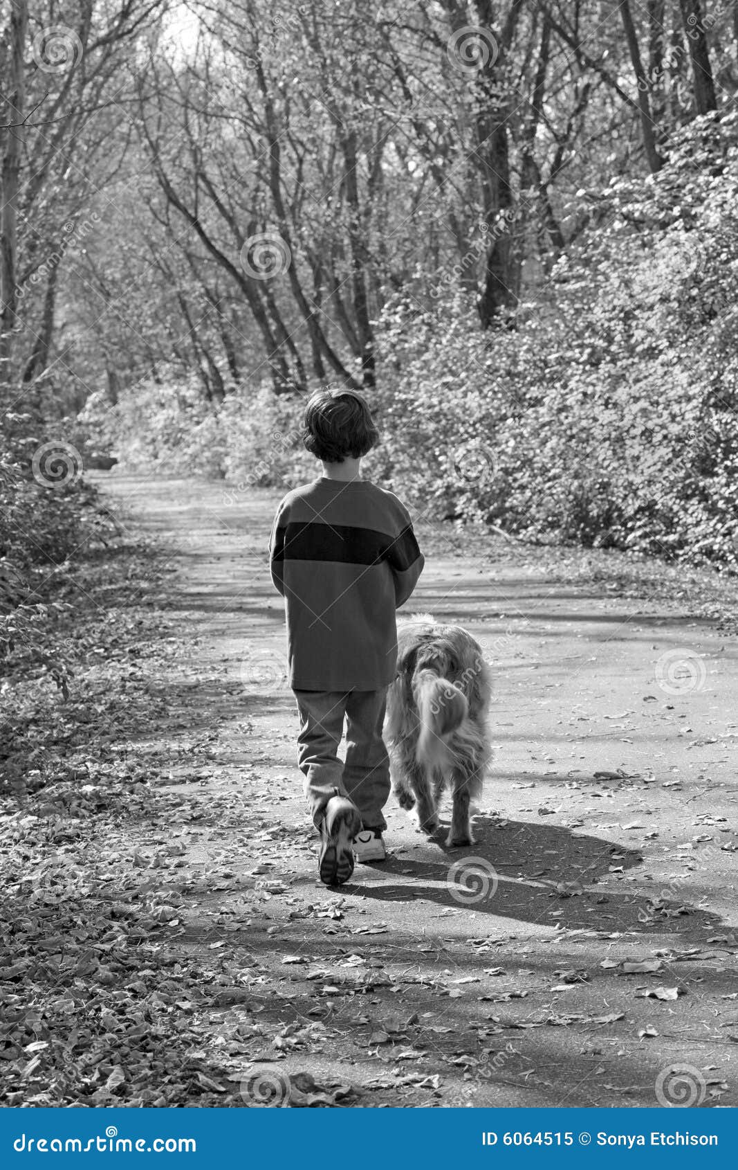Boy Walking the Dog stock image. Image of companionship - 6064515