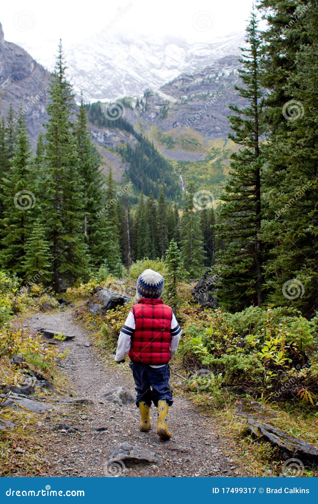 Boy walking in nature stock image. Image of trails, running - 17499317