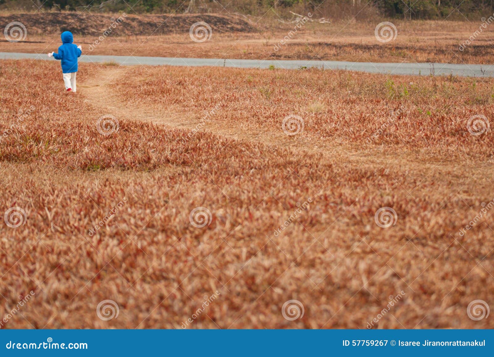 Boy walking rural footpath stock image. Image of happy - 57759267