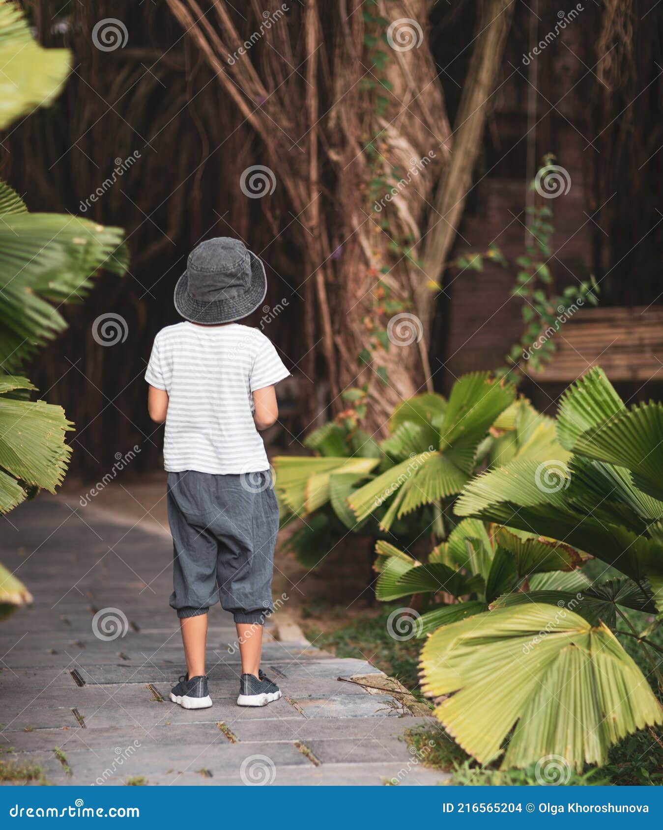 Boy Walking in a Tropical Garden Stock Photo - Image of posing, garden ...