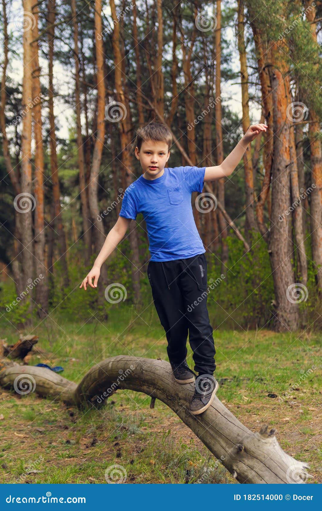 Boy Walks on a Log and Learns To Keep Balance Stock Photo - Image of ...