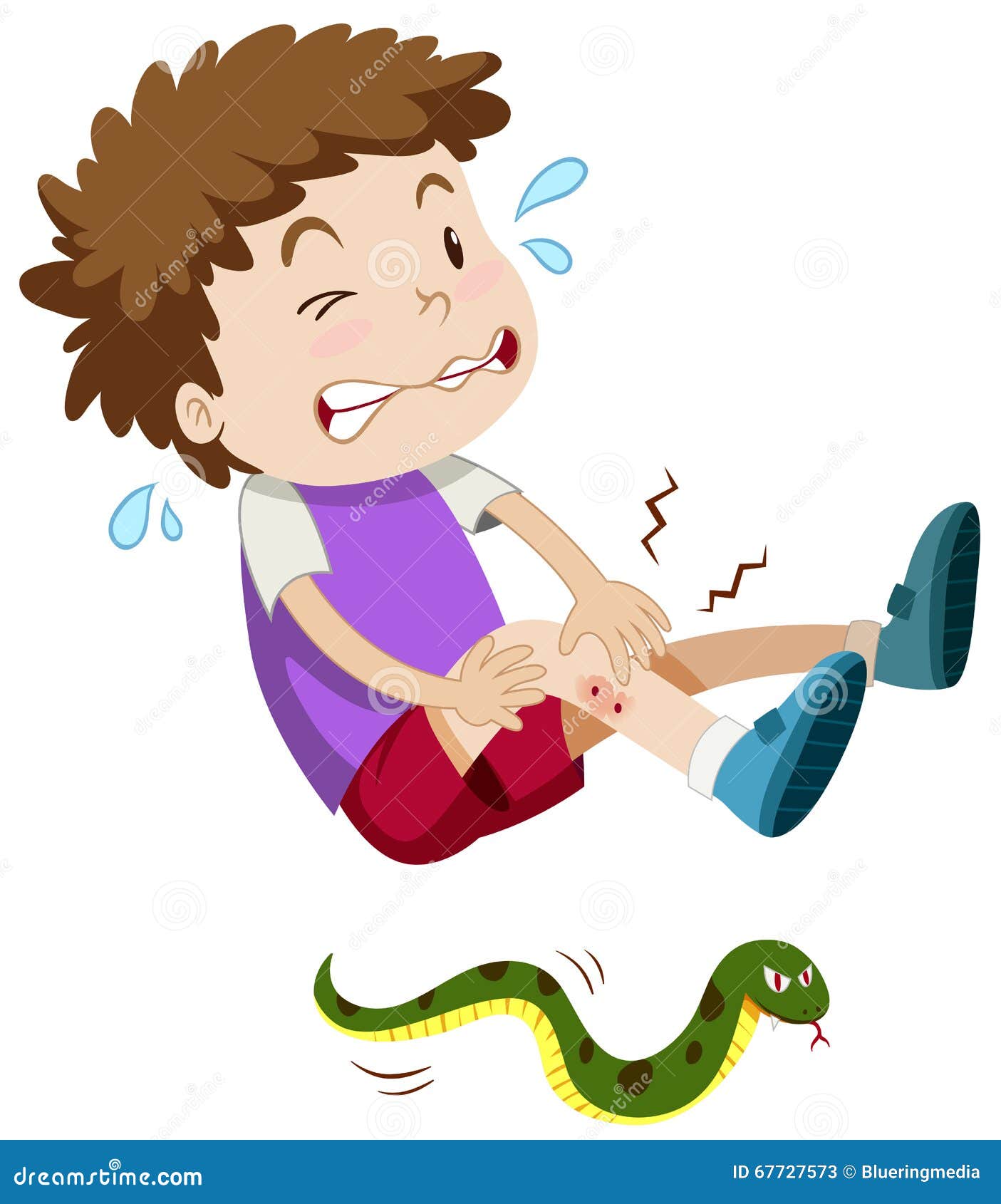 Boy was bitten by snake stock vector. Illustration of young - 67727573