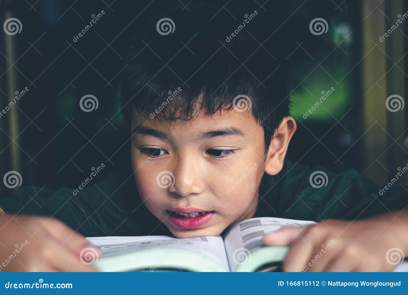 The Boy Was Reading a Book in a Quiet Room, Concept Read a Book Stock ...