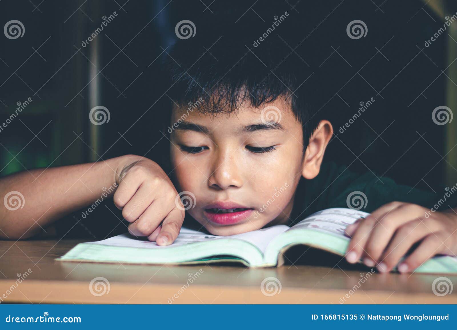 The Boy Was Reading a Book in a Quiet Room, Concept Read a Book Stock ...