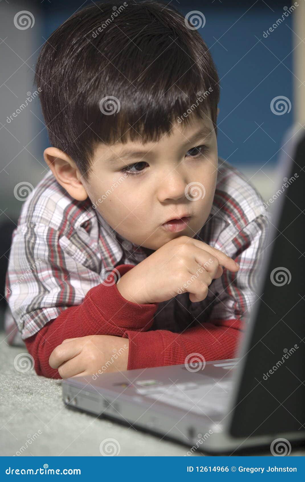 Boy watches laptop. stock photo. Image of person, learning - 12614966