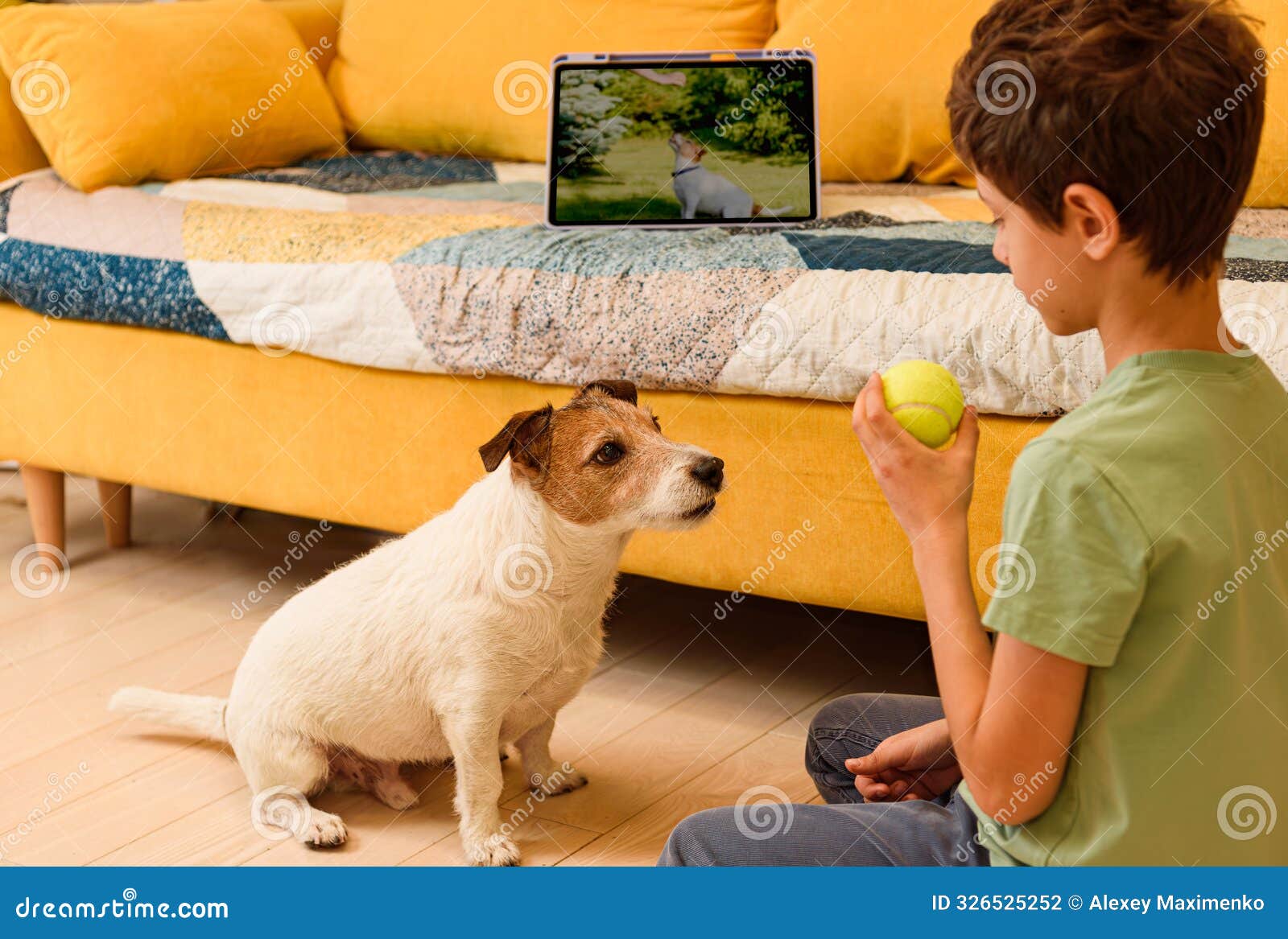 Boy Watching Online Training on Tablet Computer and Repeat Commands ...