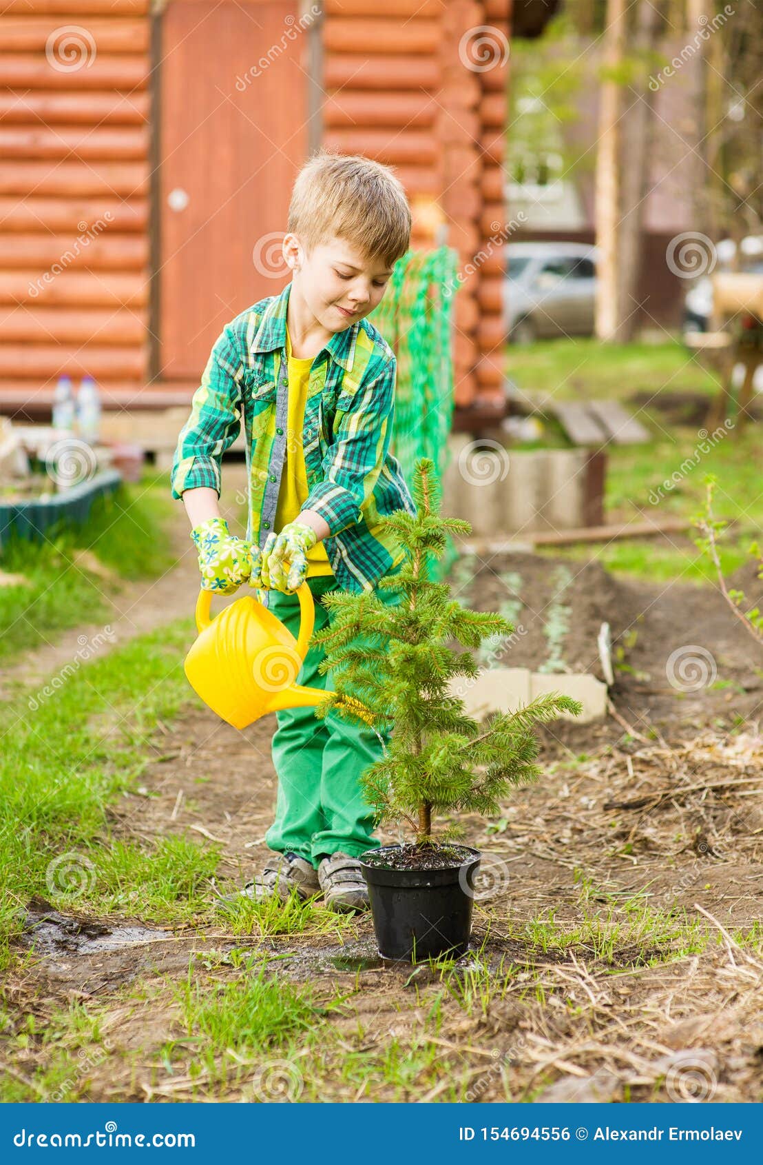 Boy Watering a Sapling Tree Stock Photo - Image of earth, planting ...