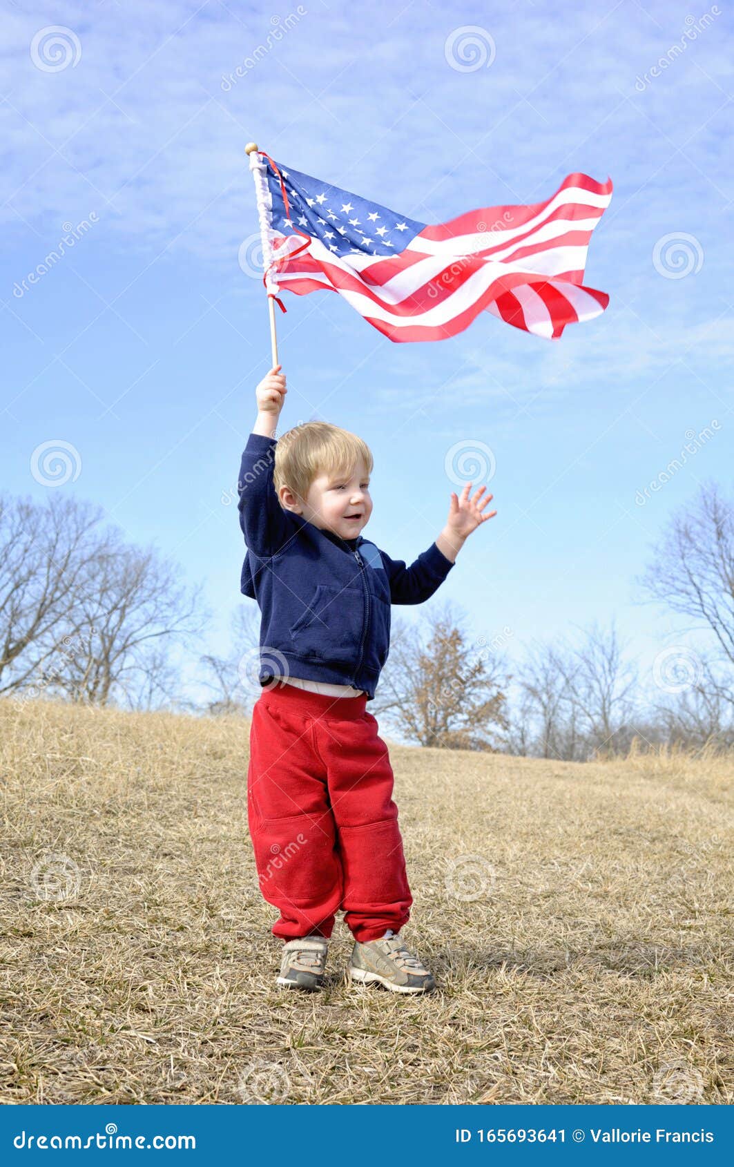 Boy waving flag in field stock image. Image of wave - 165693641