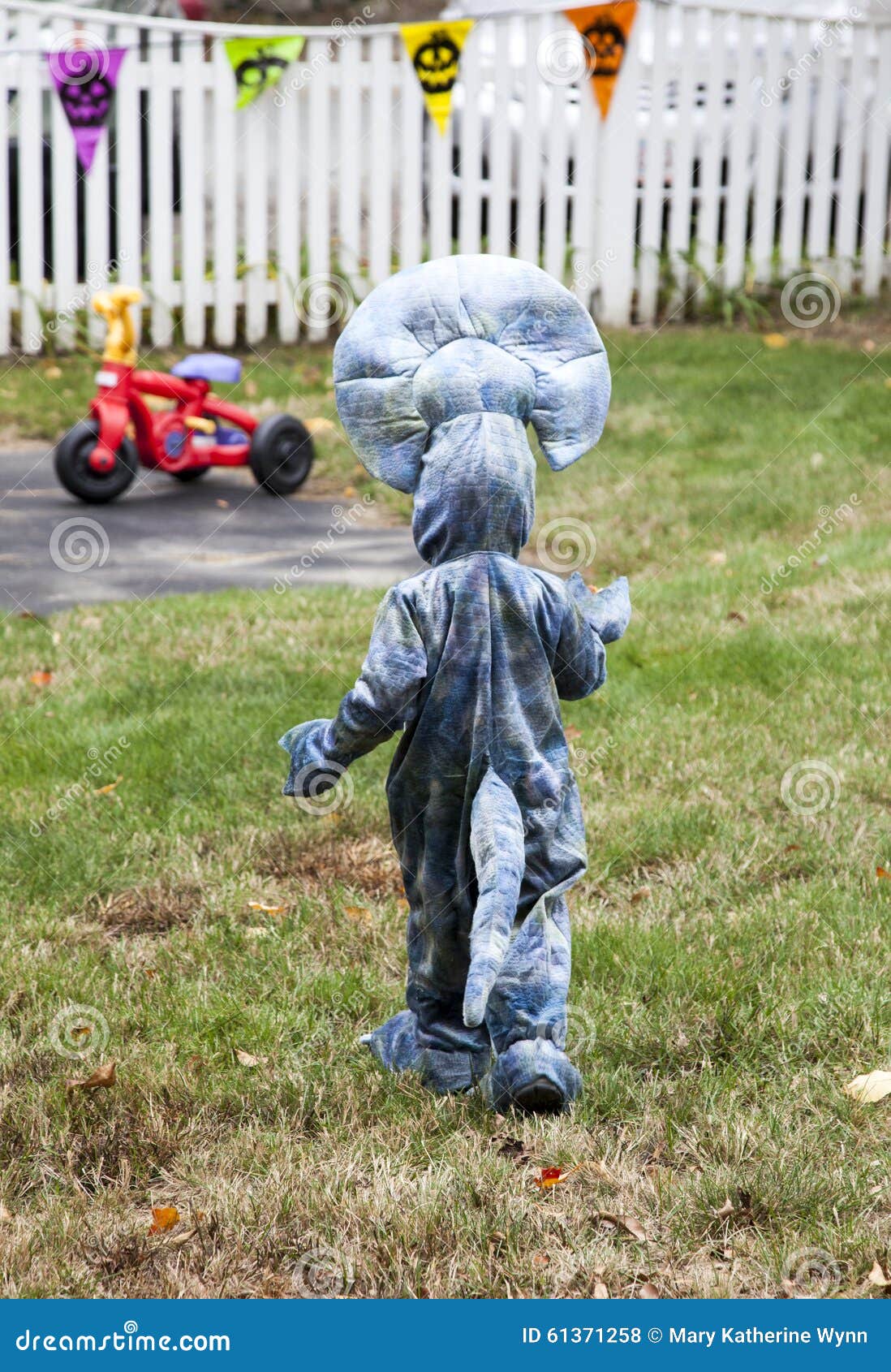 Boy wearing costume stock photo. Image of outdoors, trick - 61371258