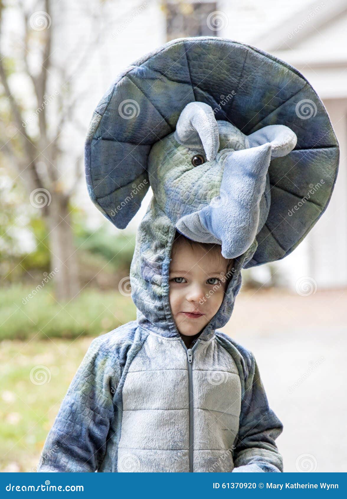 Boy Wearing Dinosaur Costume Stock Photo - Image of smile, triceratops ...