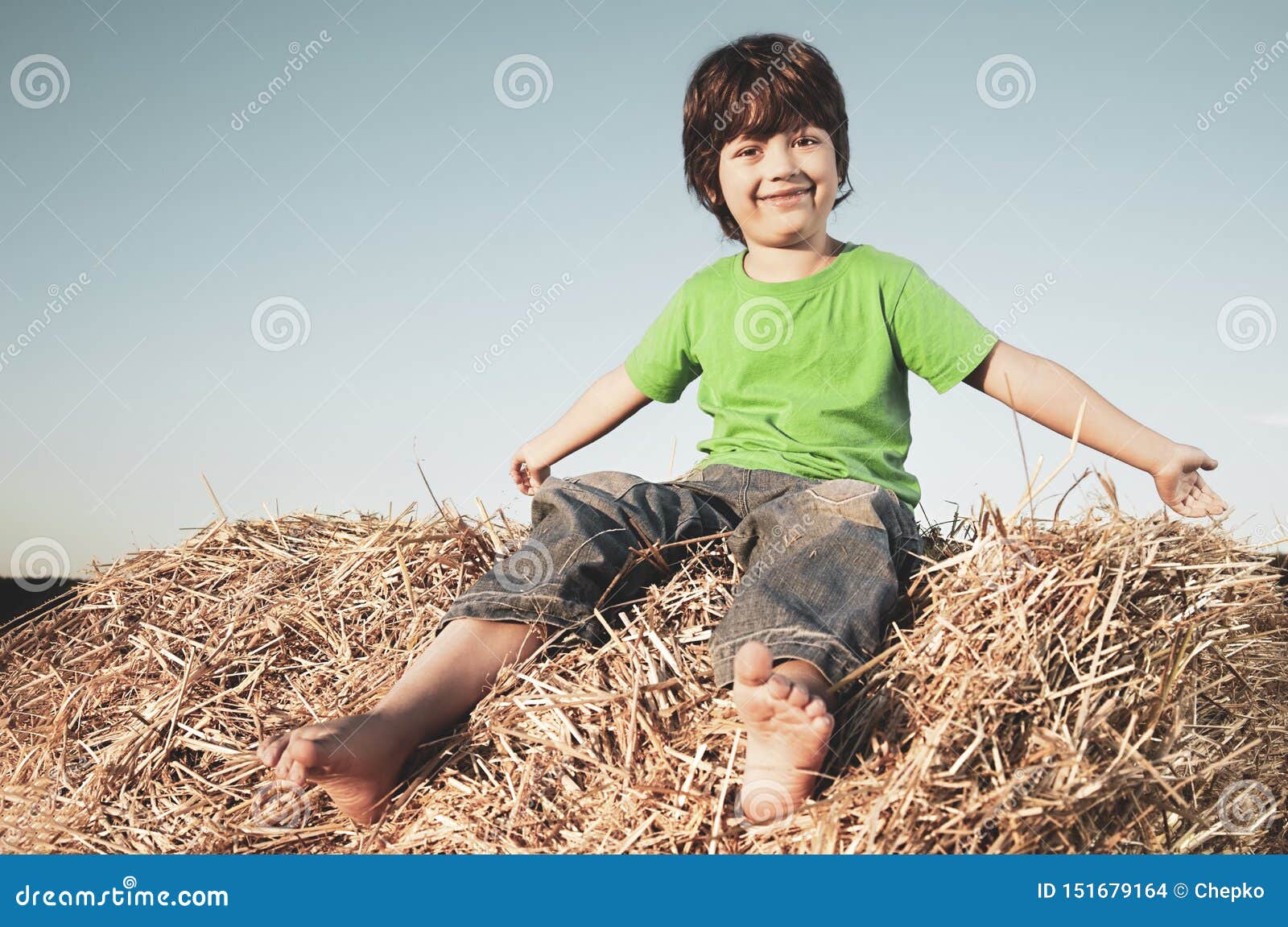 Boy in a Haystack in the Field Stock Photo - Image of harvesting, child ...