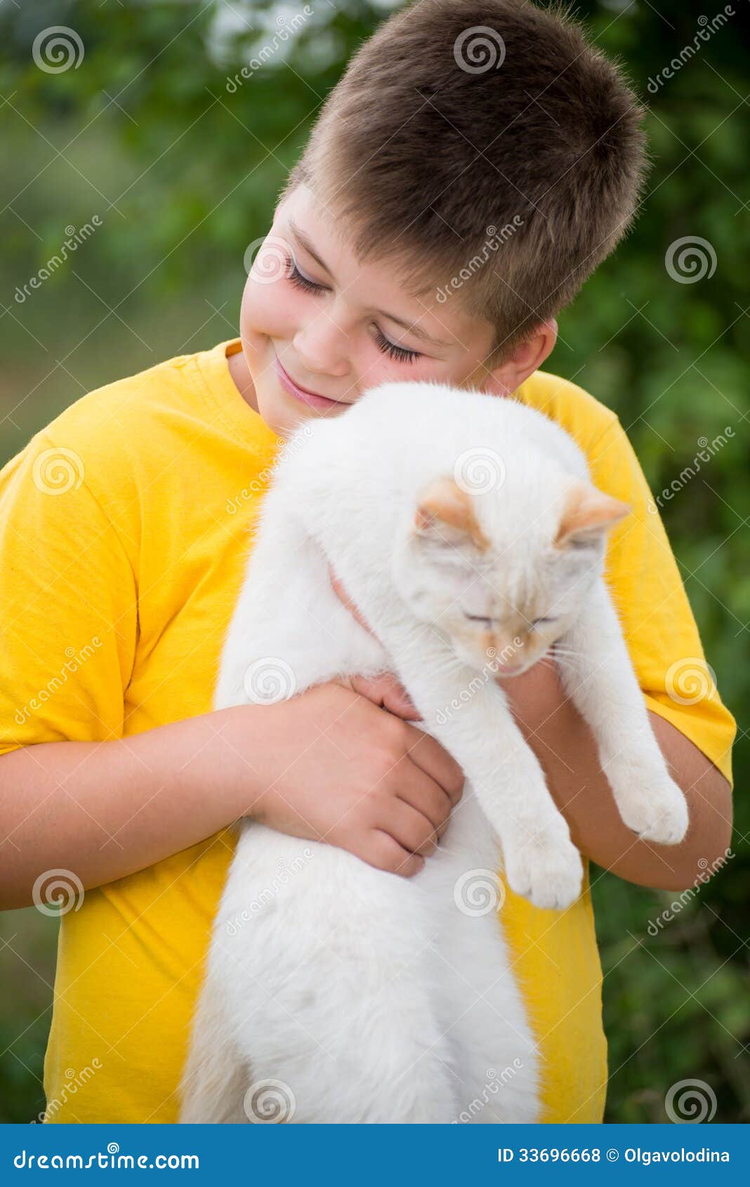 Boy with white cat stock photo. Image of child, homely - 33696668
