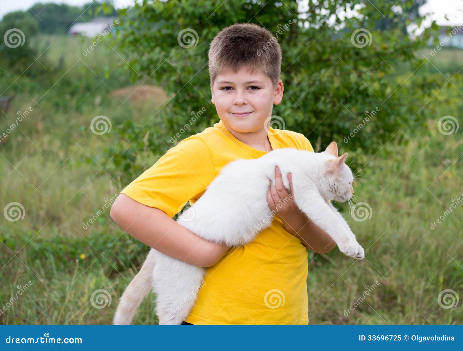 Boy with white cat stock image. Image of friendship, open - 33696725