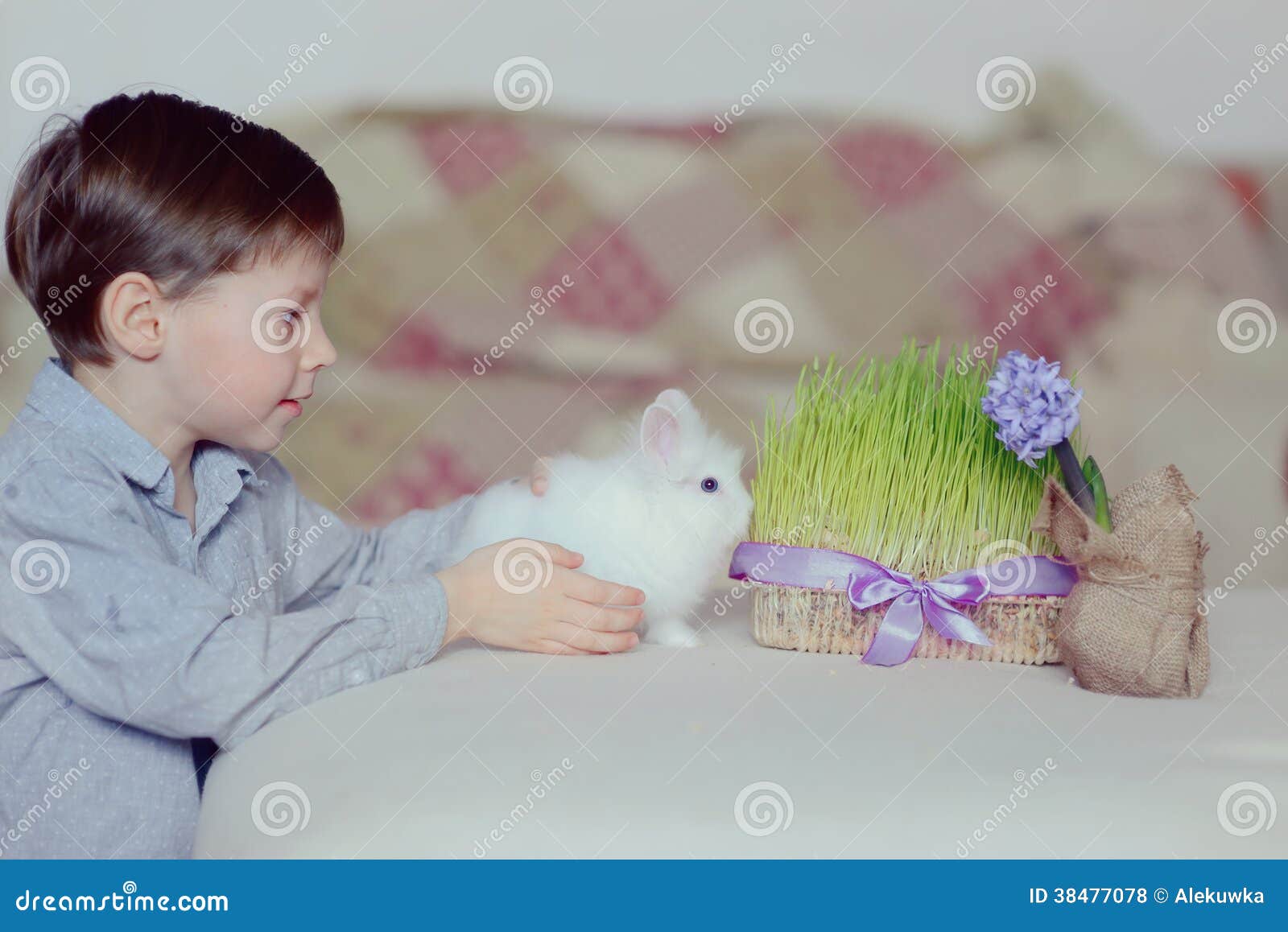 A boy and a white rabbit stock photo. Image of play, baby - 38477078