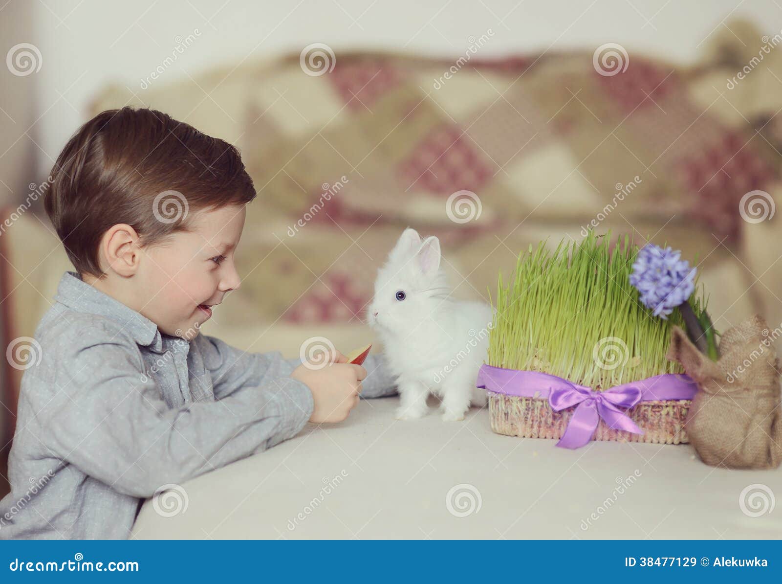 A boy and a white rabbit stock image. Image of baby, caucasian - 38477129