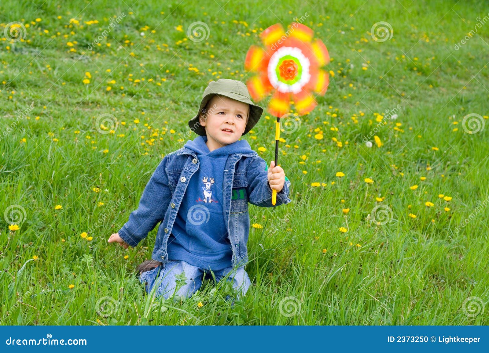 Boy in the wind stock photo. Image of grass, child, leisure - 2373250