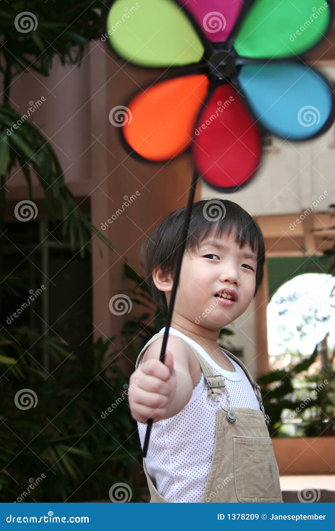 Boy & Windmill Picture. Image: 1378209