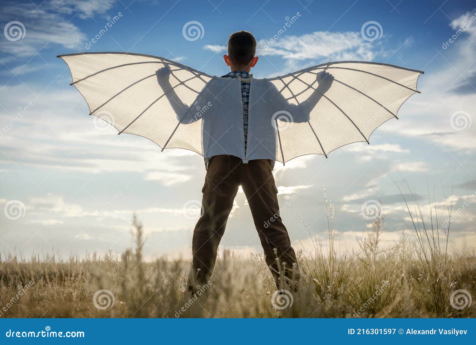 Boy with Wings in the Field Stock Image - Image of childhood, hero ...