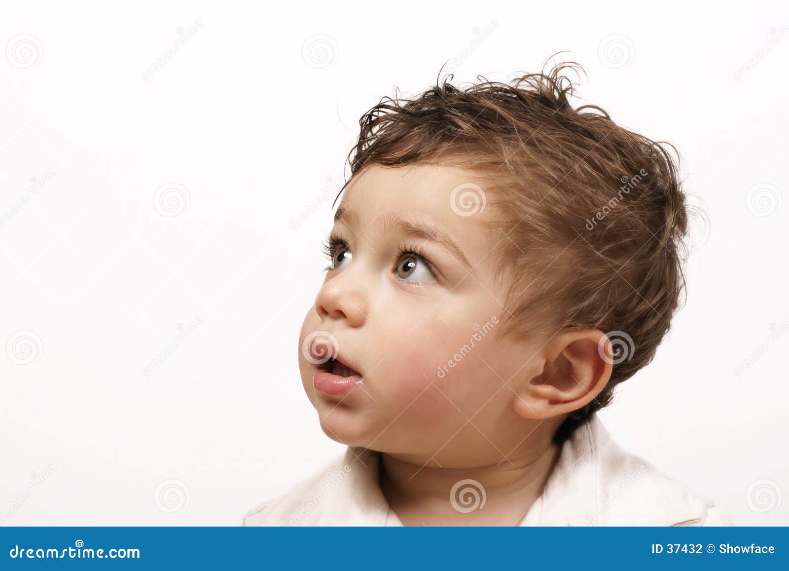 Boy wonder stock photo. Image of people, curious, child - 37432