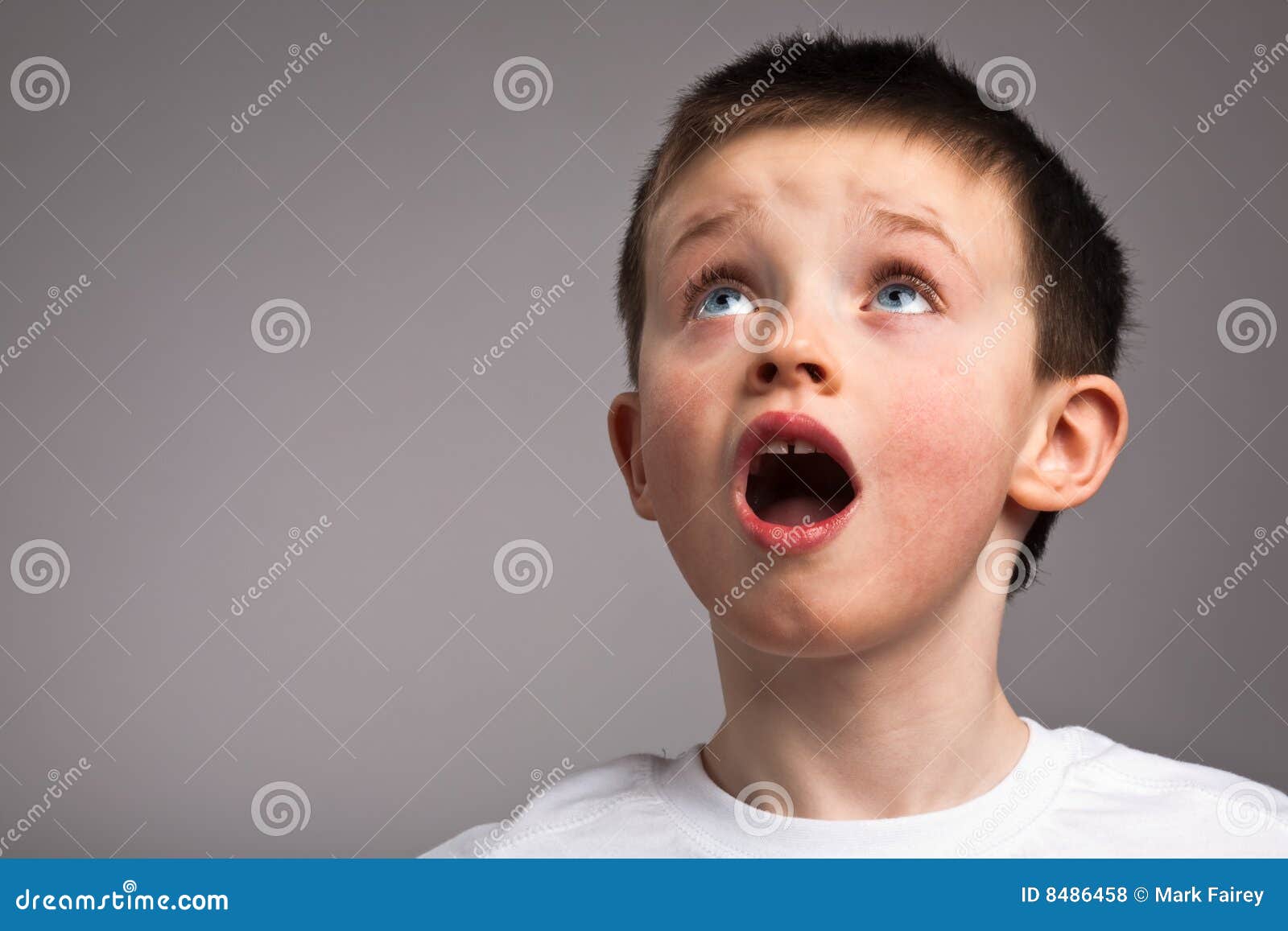 Boy wonder stock photo. Image of looking, copy, children - 8486458