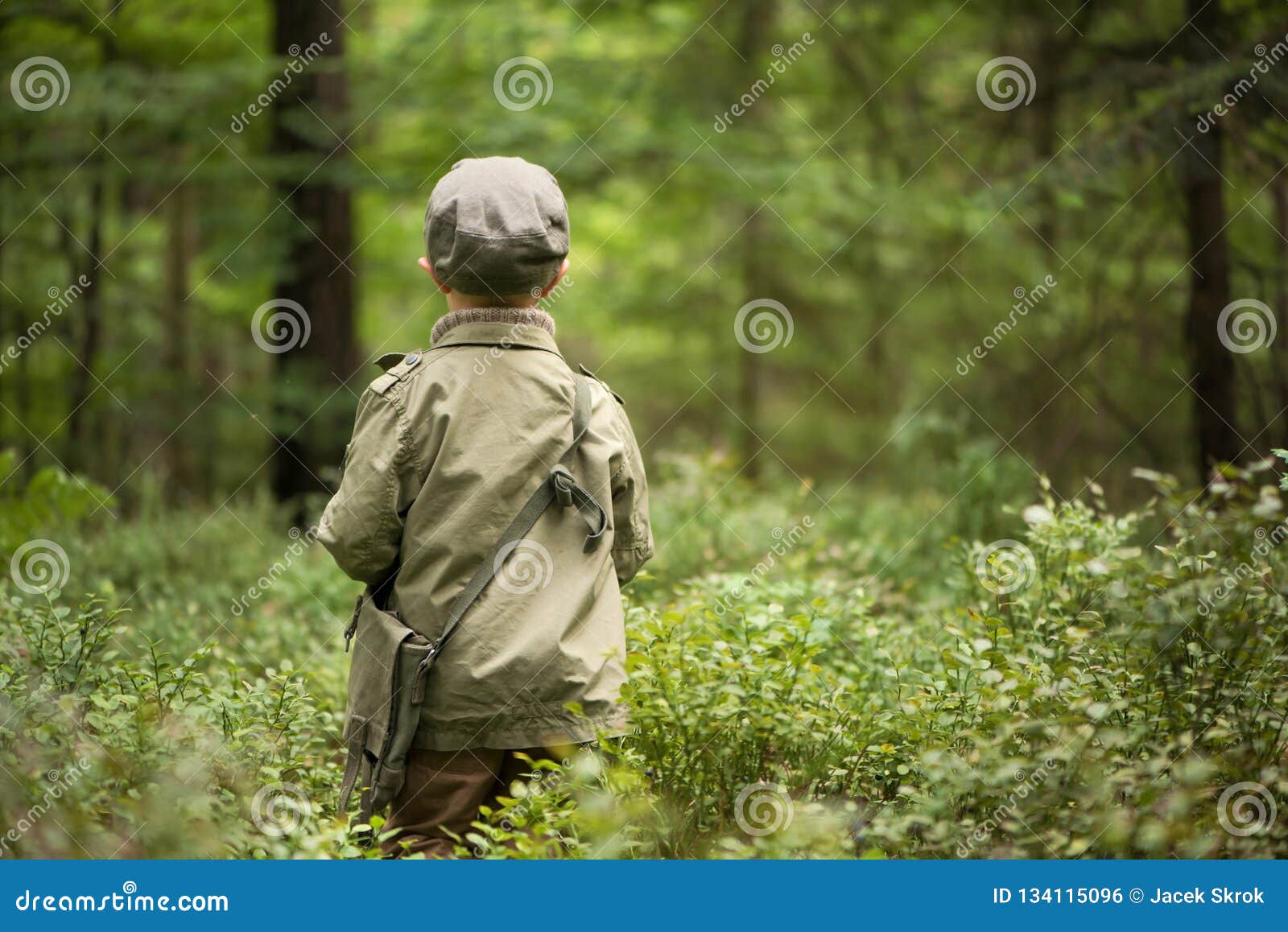 A Boy in the Woods, Standing among Trees, Stands with His Back Turned ... A Boy in the Woods, Standing among Trees, Stands with His Back Turned ...