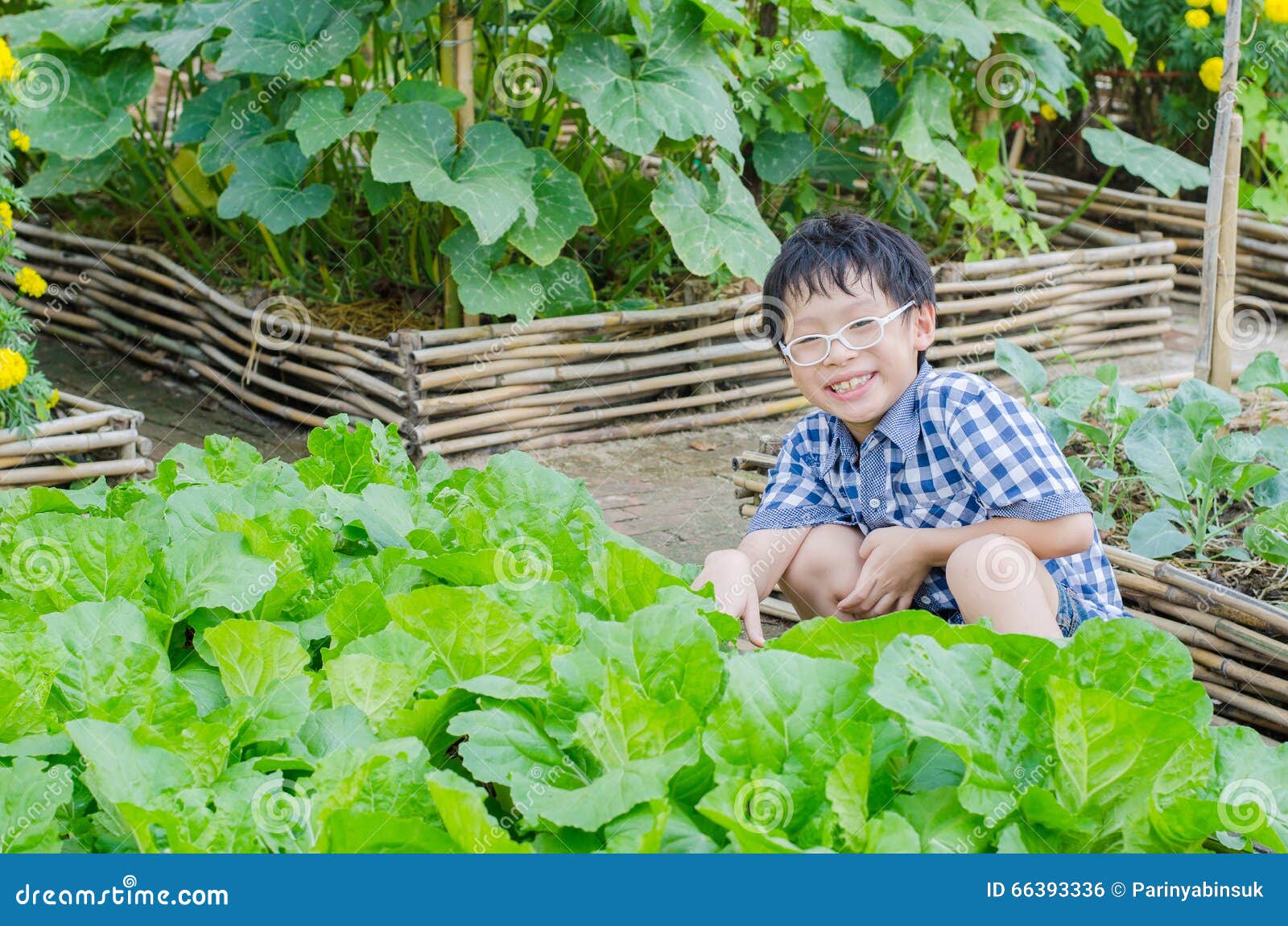 Boy working in farm stock photo. Image of nature, outdoor - 66393336