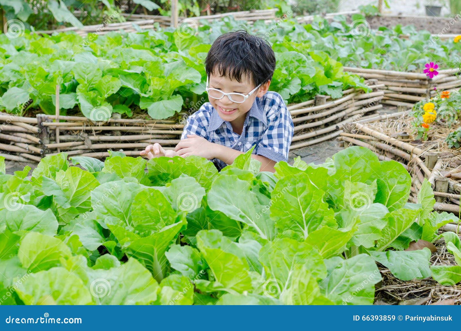 Boy working in farm stock image. Image of farmboy, little - 66393859