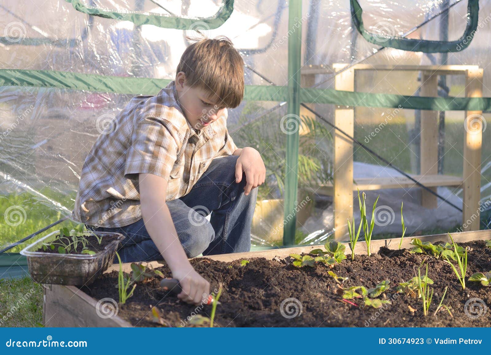Boy Working in a Garden stock image. Image of garden - 30674923