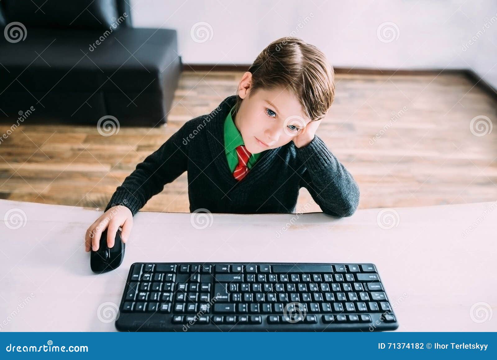 Boy working on a PC stock photo. Image of educator, laptop - 71374182