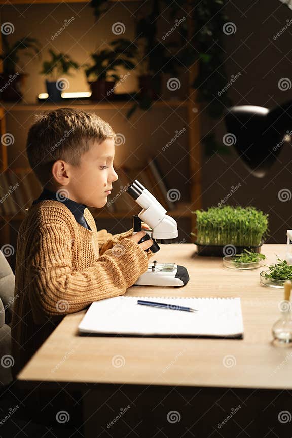 Boy on Workplace with a Microscope at Home. Doing Homework in Biology ...