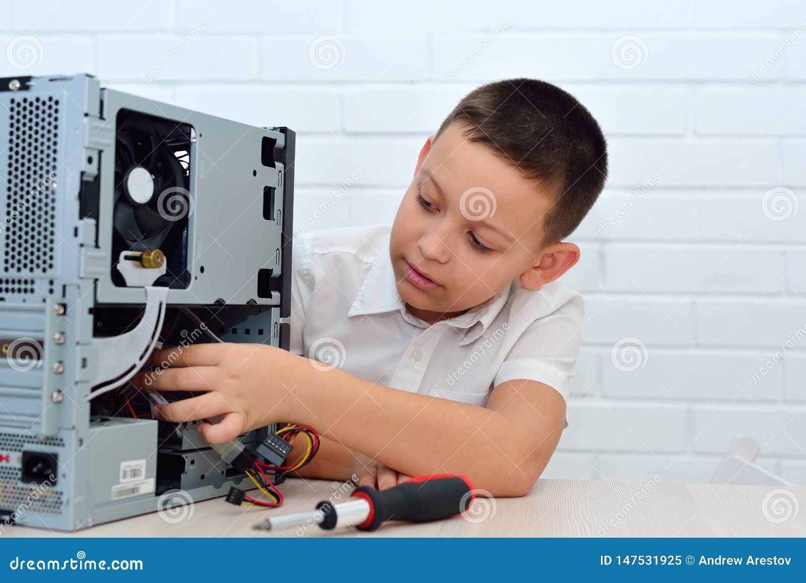 A Boy Works on the Computer Stock Image - Image of female, small: 147531925