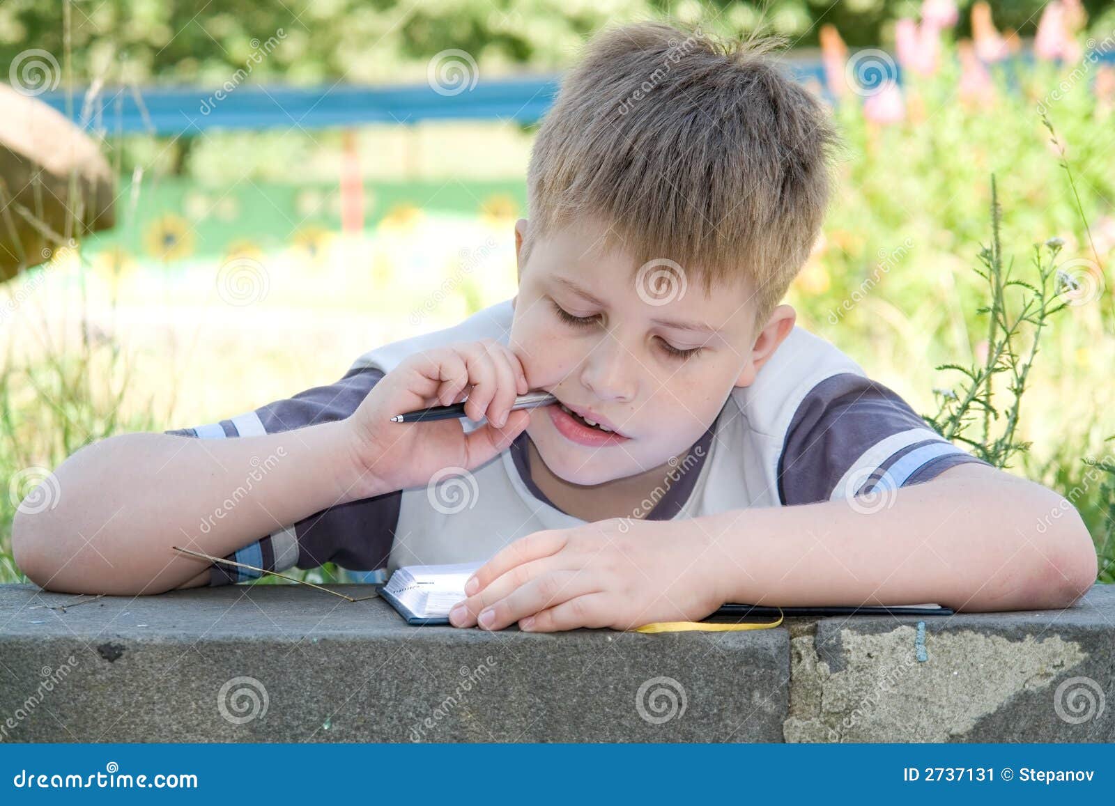 Boy Writes To Writing-books Stock Image - Image of person, schoolboy ...