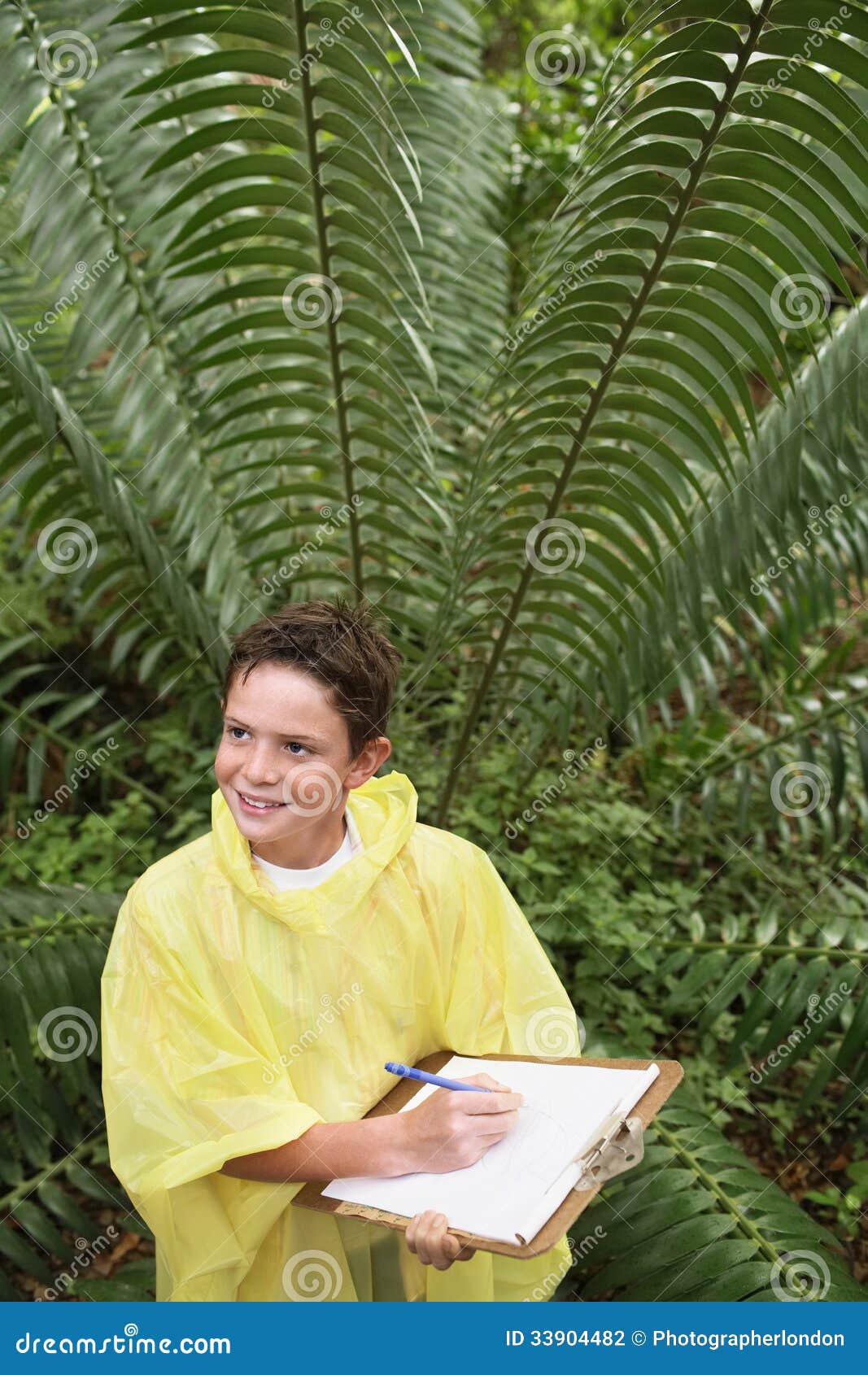 230 Clipboard Forest Stock Photos - Free & Royalty-Free Stock Photos ...