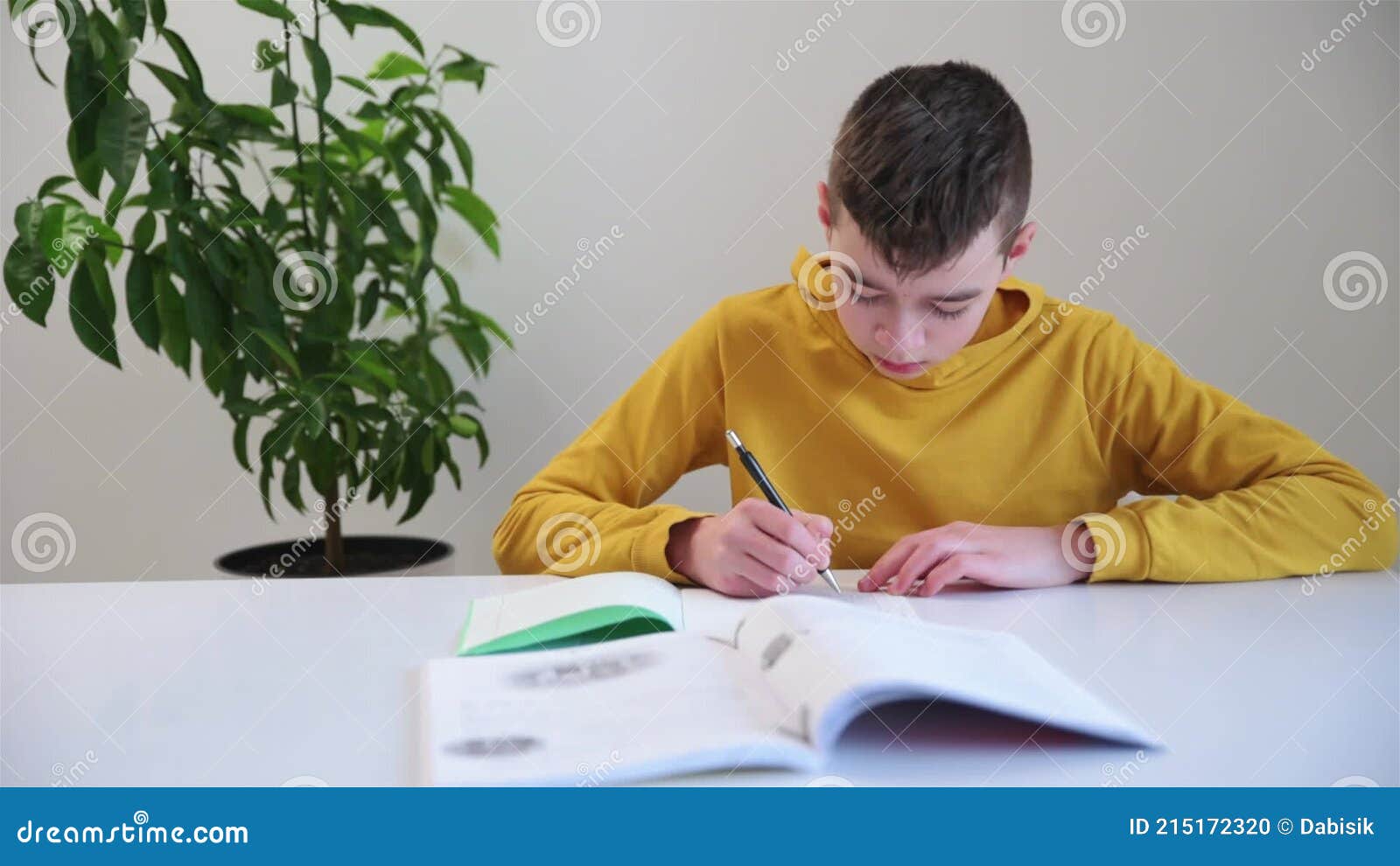 Boy Writing Homework. Schoolboy Making Notes in Notebook at Home Stock ...