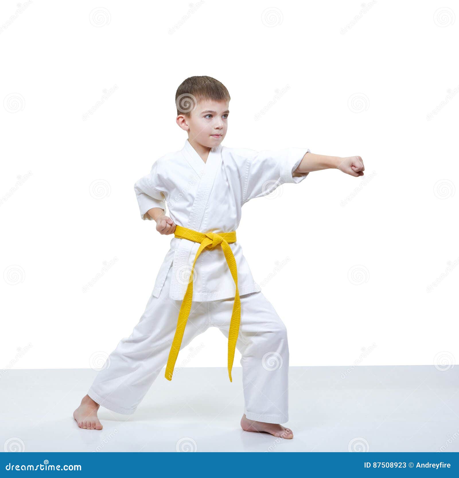Boy with Yellow Belt Beats Punch Arm Stock Image - Image of self ...