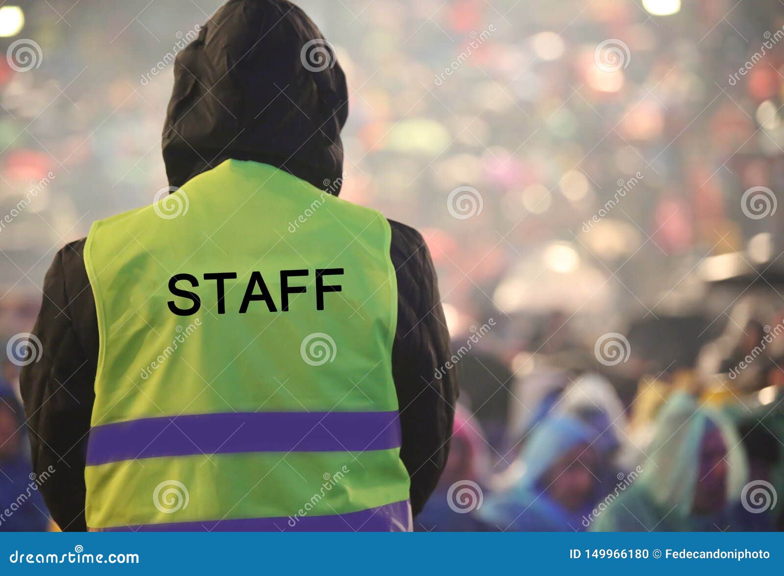 Boy with Yellow High Visibility Jacket and the Text STAFF Stock Photo ...