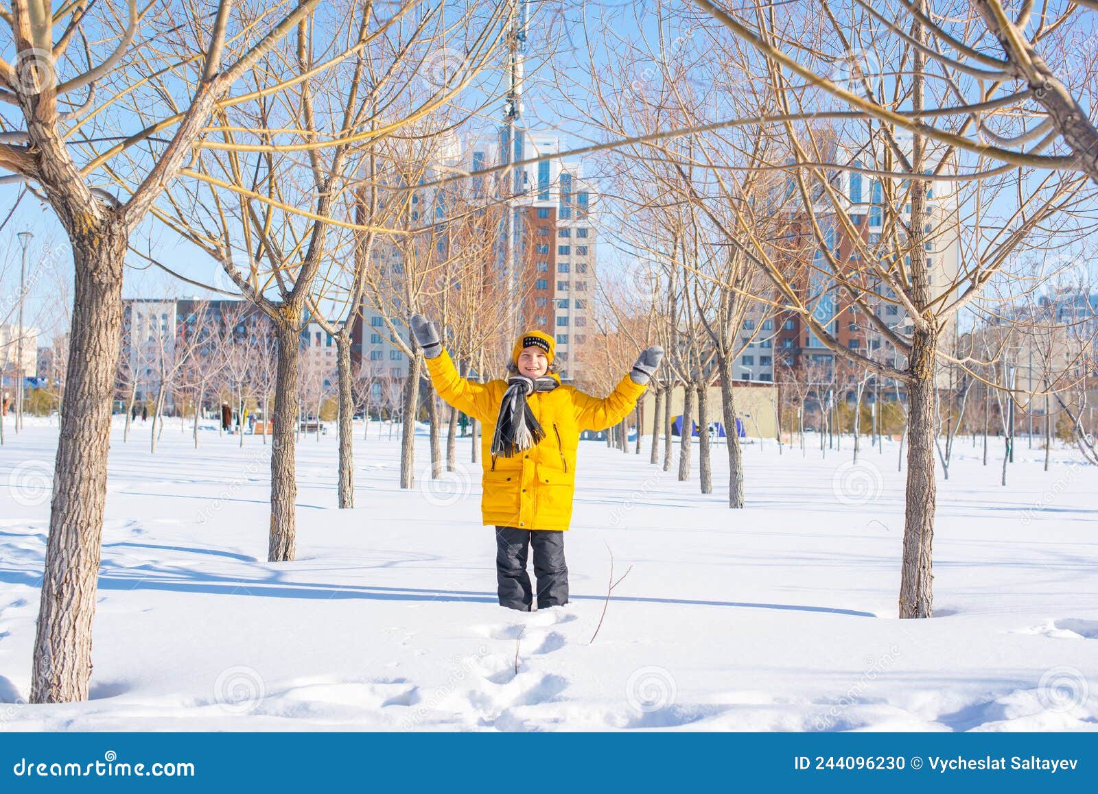 A Boy in a Yellow Jacket Stands between the Trees Stock Photo - Image ...