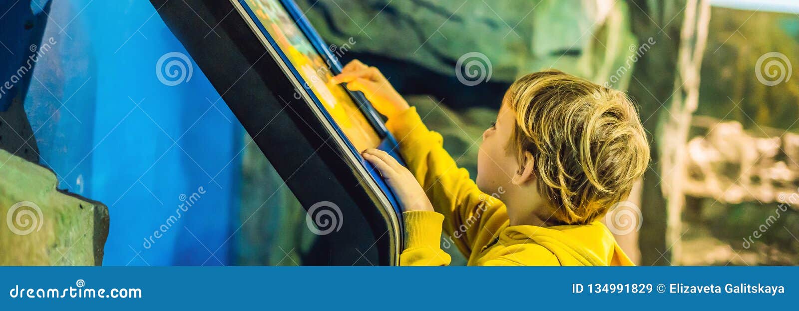 The Boy in the Yellow Jacket Uses a Touch Screen BANNER, LONG FORMAT ...