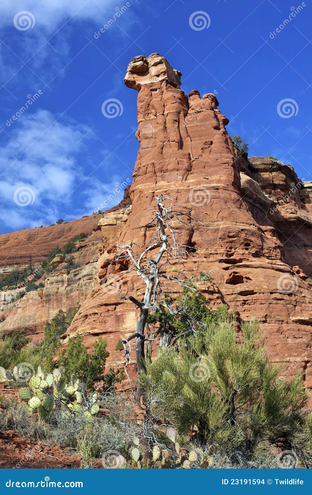 Boynton Canyon Vista stock photo. Image of vista, scenics - 23191594