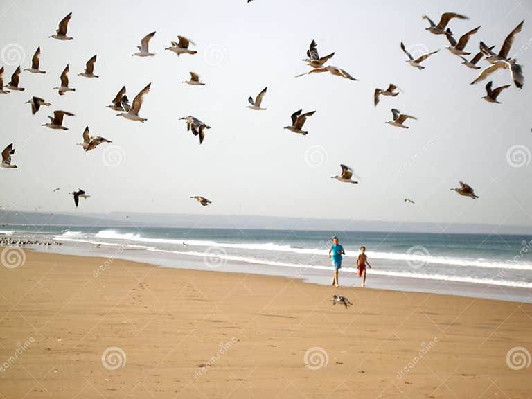 Boys chasing birds stock photo. Image of birds, sunny, enjoy - 825884