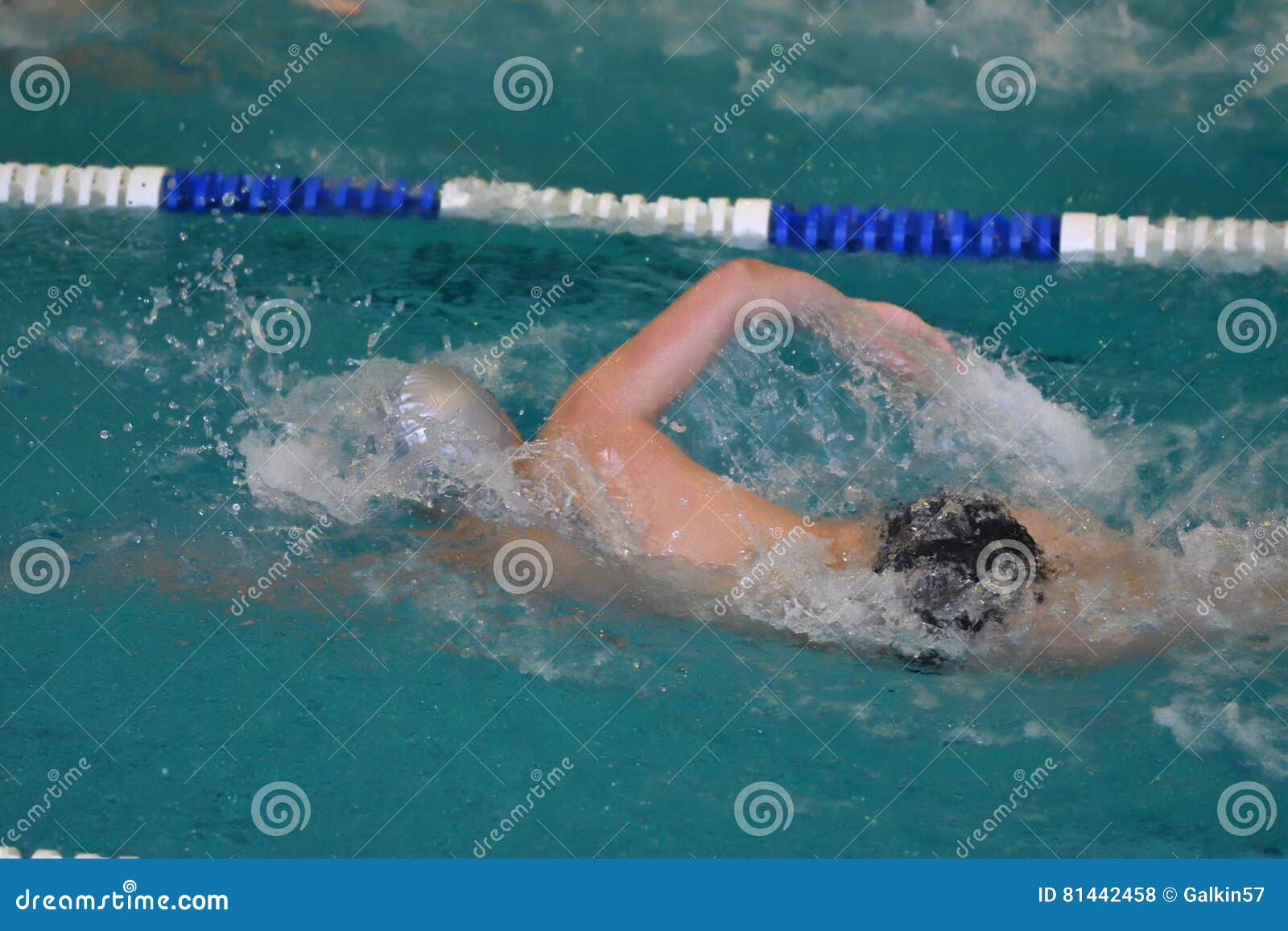 Boys compete in swimming editorial stock photo. Image of action - 81442458