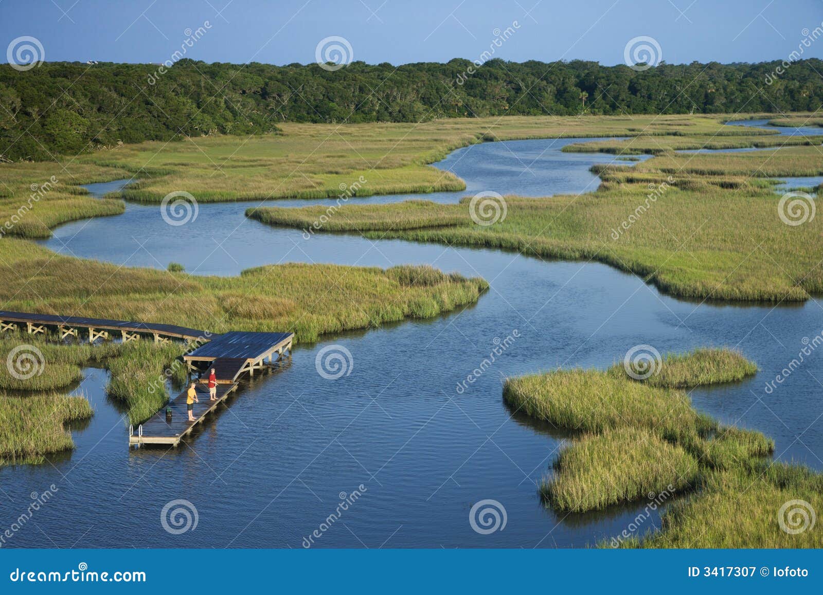 Boys on dock in marsh. stock image. Image of lowland, marsh - 3417307