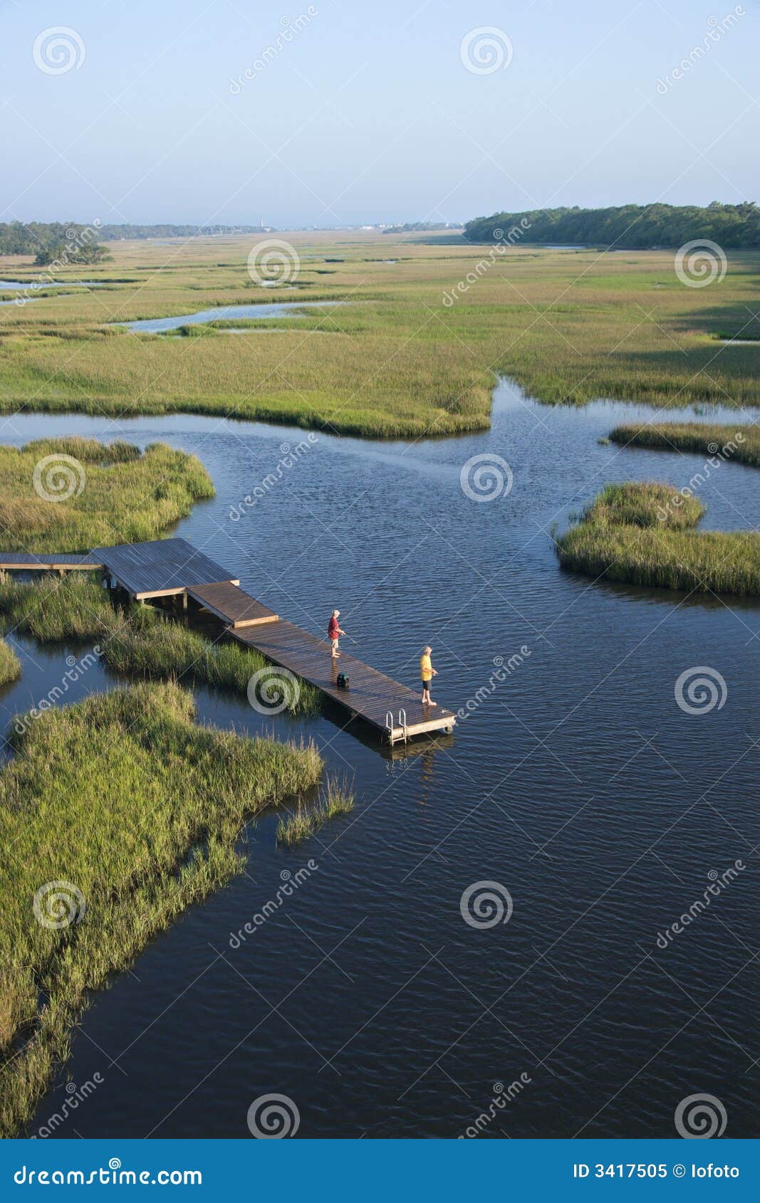 Boys on dock in marsh. stock image. Image of america, north - 3417505